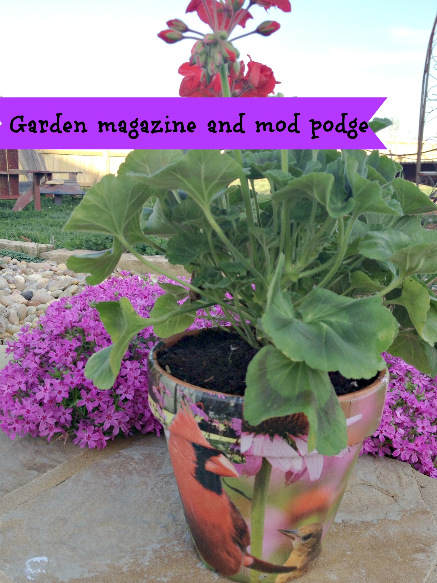 Mod podge Terra cotta pots with garden magazine clippings - Debbiedoos