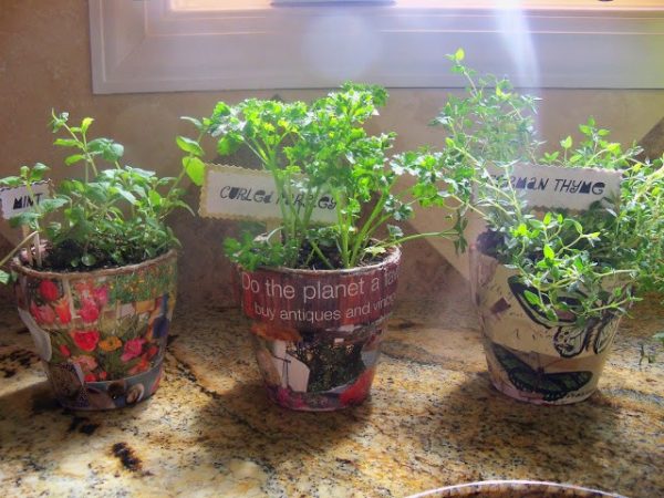 Clever dollar tree garden pot decorating ideas - Debbiedoos