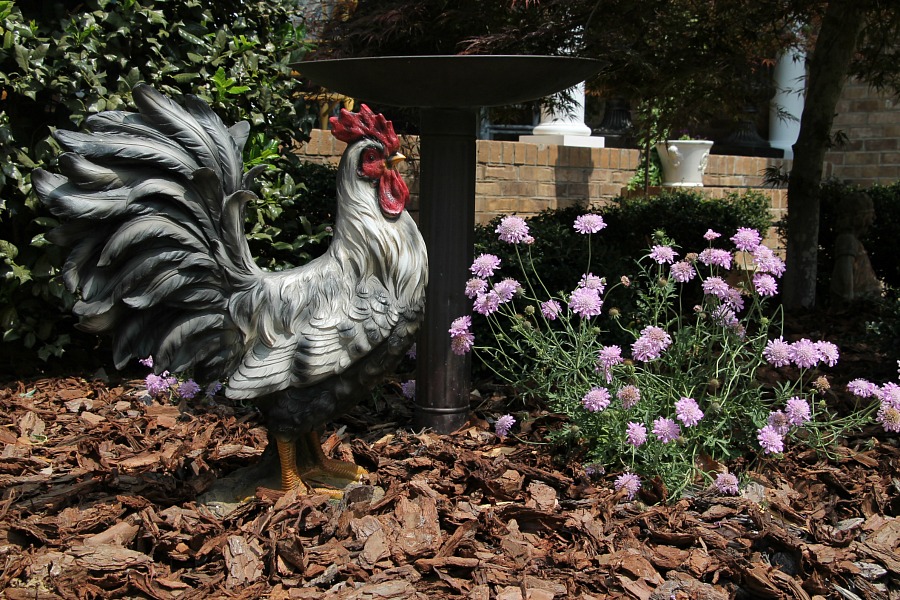 Outdoor gardens and this and that - Debbiedoos